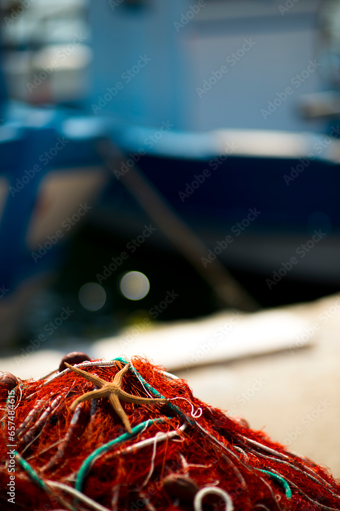 Reti e barche da pesca nel porto di Alghero Stock Photo | Adobe Stock