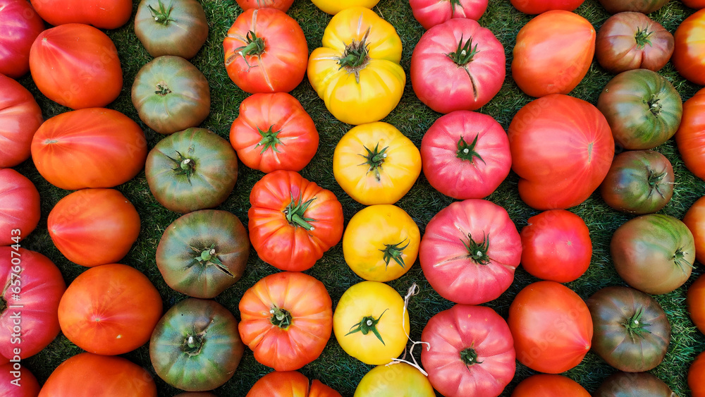 tomates de tailles et couleurs différentes sur un étal de marché Stock ...