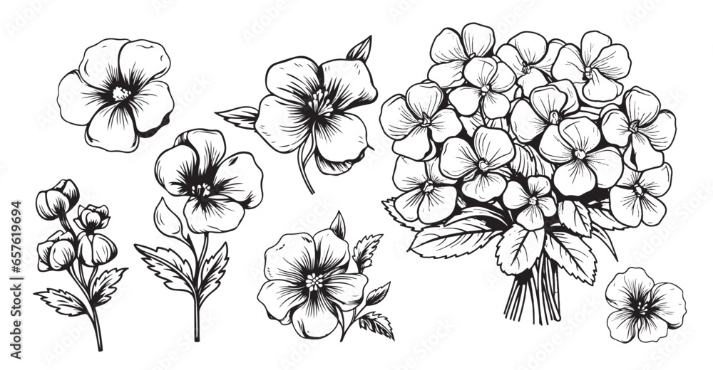SET of Violet flower sketch hand drawn Vector Garden flowers Stock ...