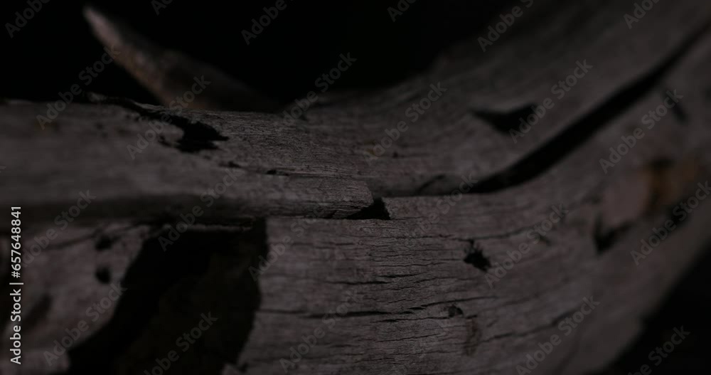 Texture of weathered old wood with scratches and cuts. Damaged aged ...