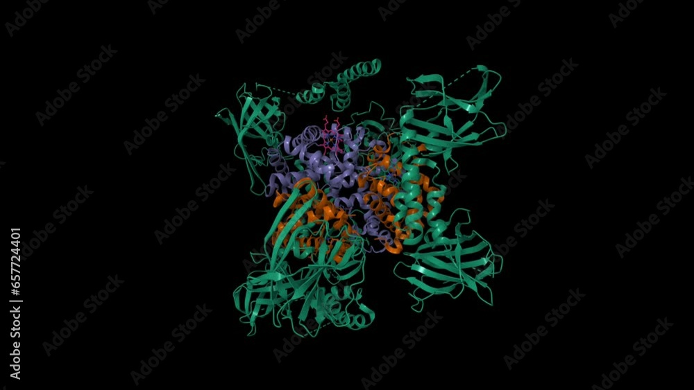 Human methemoglobin with the second and third NEAT domains of IsdH ...