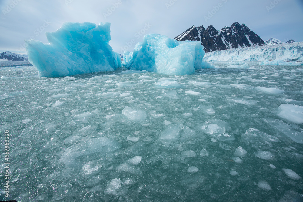 Pack ice off the cliff of the Monacobreen Glacier; Spitsbergen ...