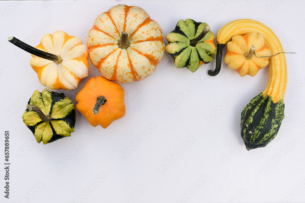 Composición curiosa de diferentes calabazas de adorno combinando formas ...