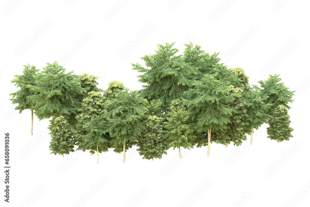 Realistic forest isolated on transparent background. 3d rendering ...