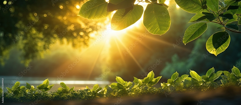 Solar energy is the necessary and eco friendly power the world needs ...