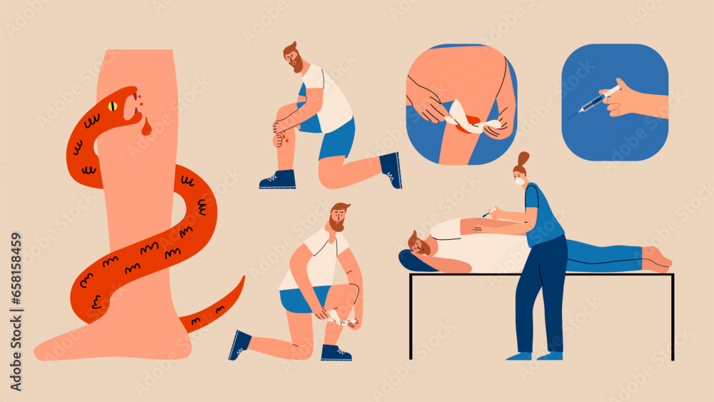 First aid for a poisonous snake bite set. Hand draw illustration Stock ...