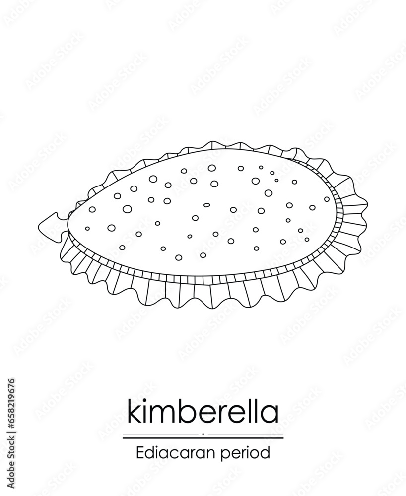 Kimberella, an Ediacaran period creature, black and white line art ...