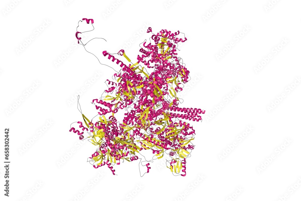 Kaposi's sarcoma-associated herpesvirus (KSHV), C5 portal vertex ...