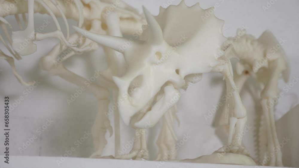 White plastic dinosaurs created on a 3D printer in a technological ...