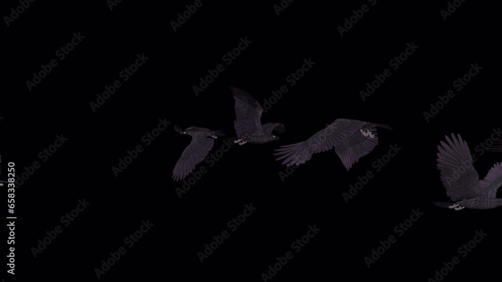 Flock of Black Ravens - Flying Around Loop - Realistic 3D animation ...