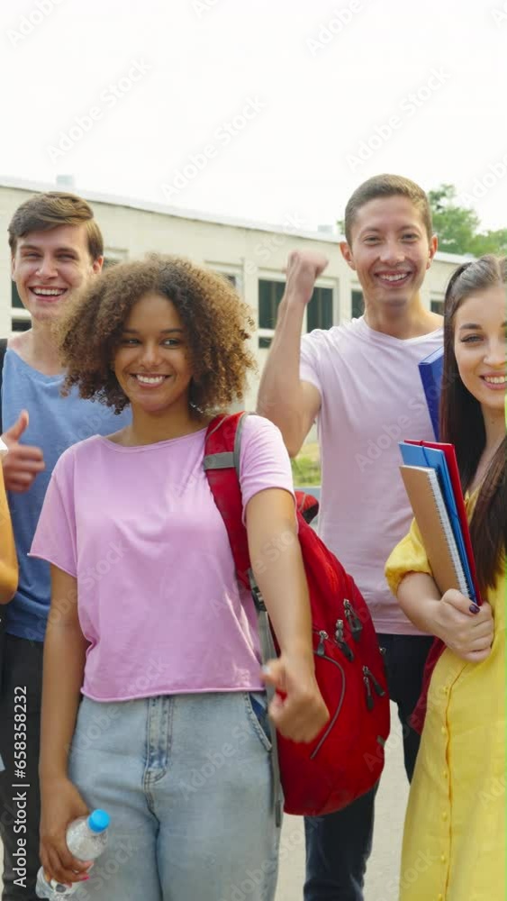 Vidéo Stock Vertical Screen: Group of diverse students standing with ...