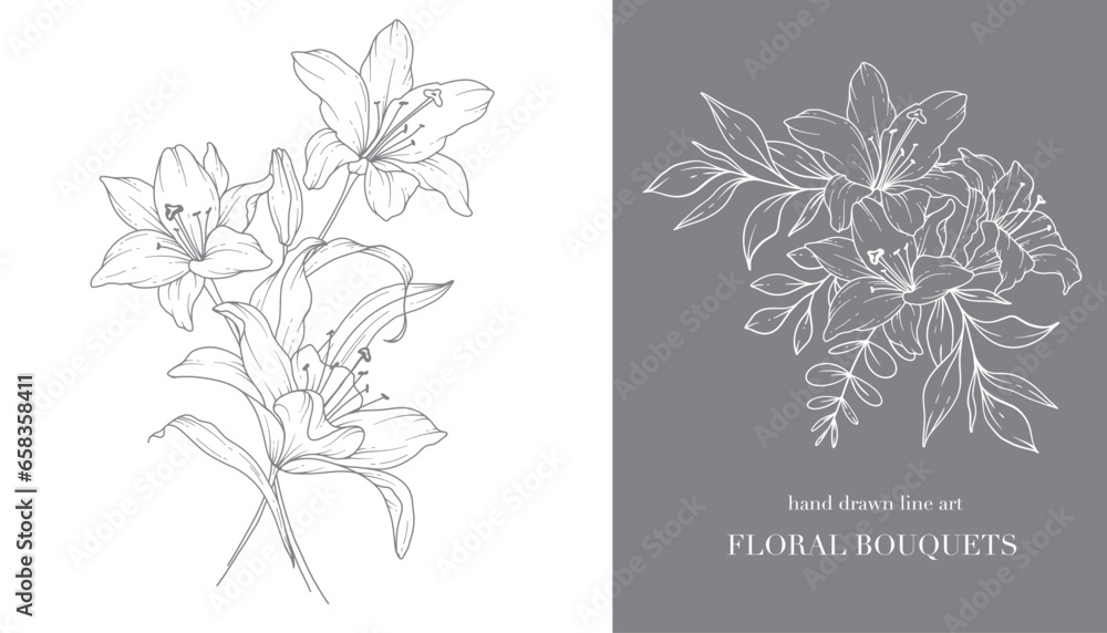 Lily Flower Line Art. Lilies Bouquets Line Art. Fine Line Lilies ...