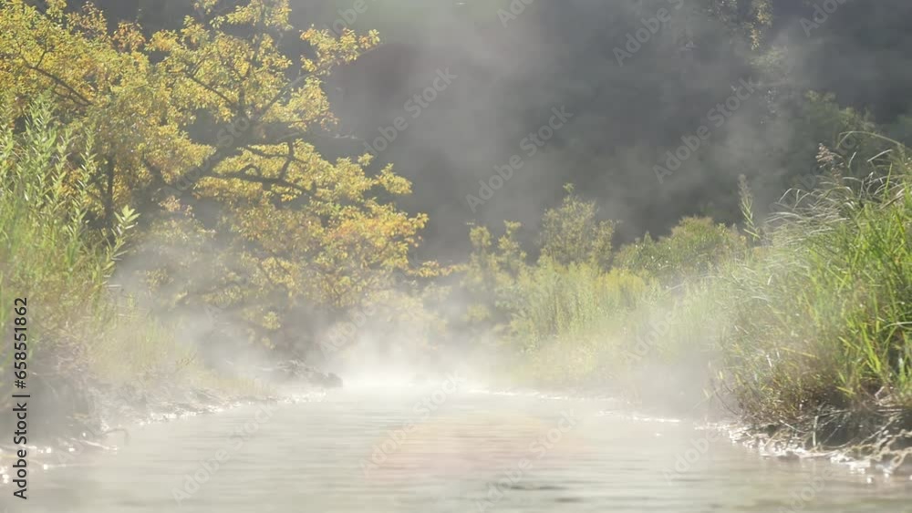 Thick hot steam forms and rises above a natural geothermal spring in a ...