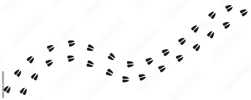 Horse hooves. Path footprints of horse, mustang, pony, deer, cow, goat ...