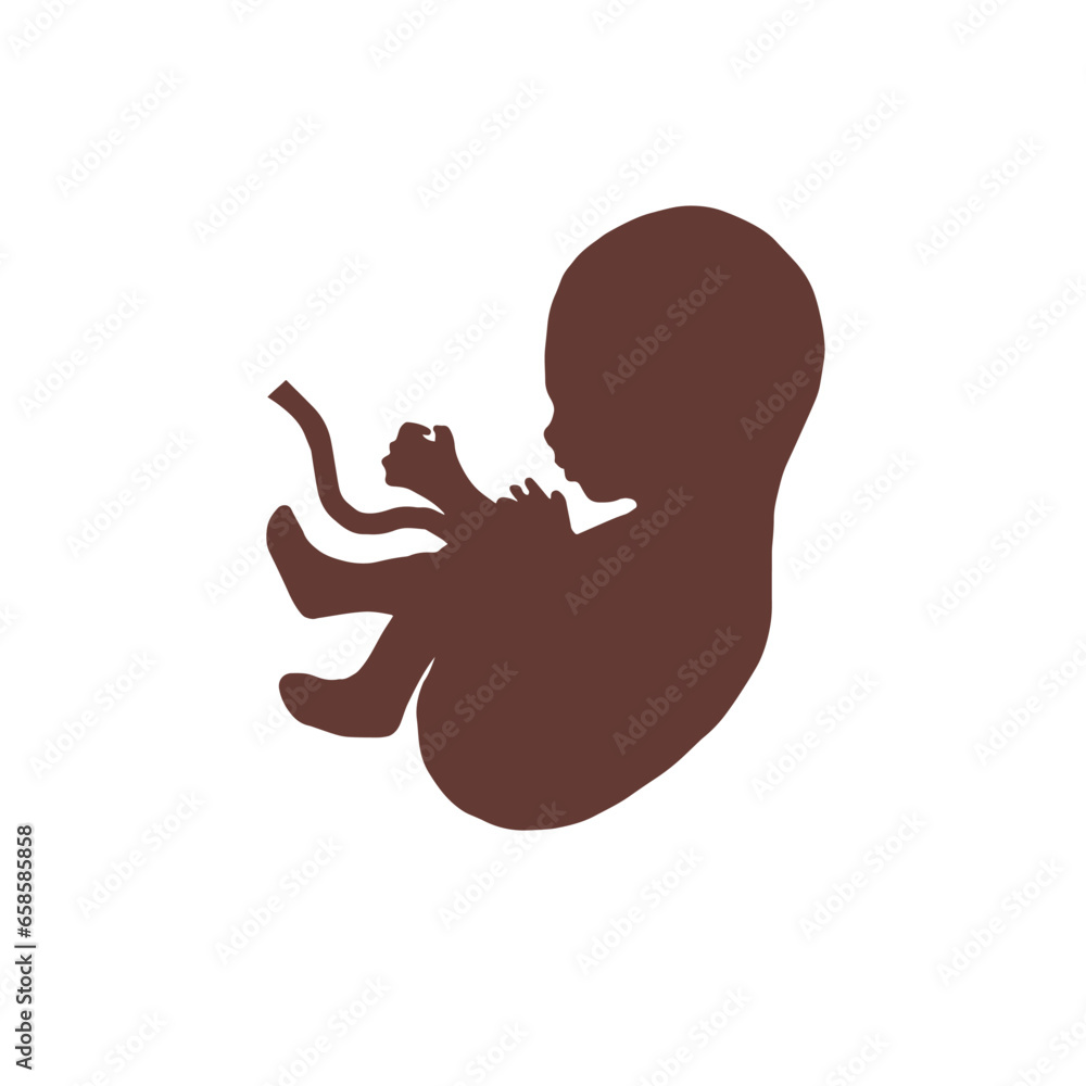 Fetus with umbilical cord vector. An embryo of a human. Black baby in a ...