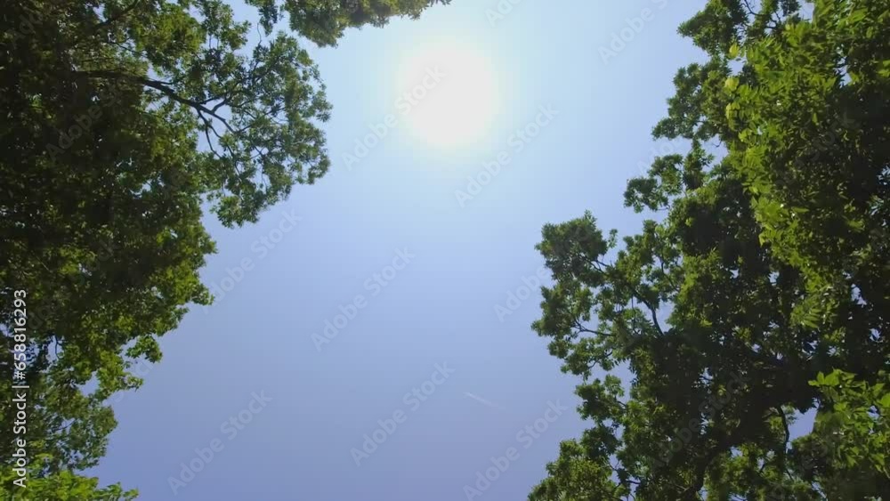 Above view driving Plate looking up. POV driving car view looking above ...