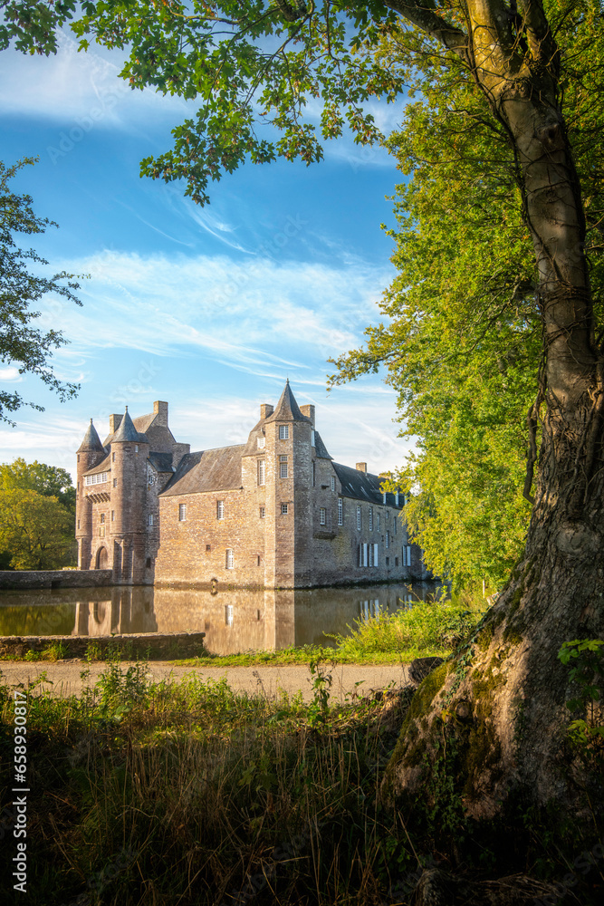 Le chateau de Trecesson en region Bretagne, foret de Broceliande, image ...