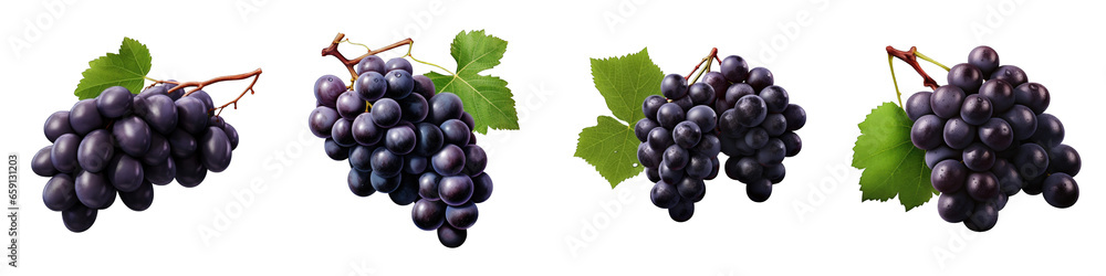 Black Grapes clipart collection, vector, icons isolated on transparent ...