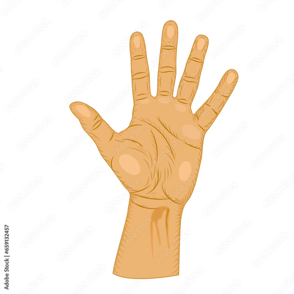 Engraved drawing of a raised human male hand. Vintage stylized drawing ...