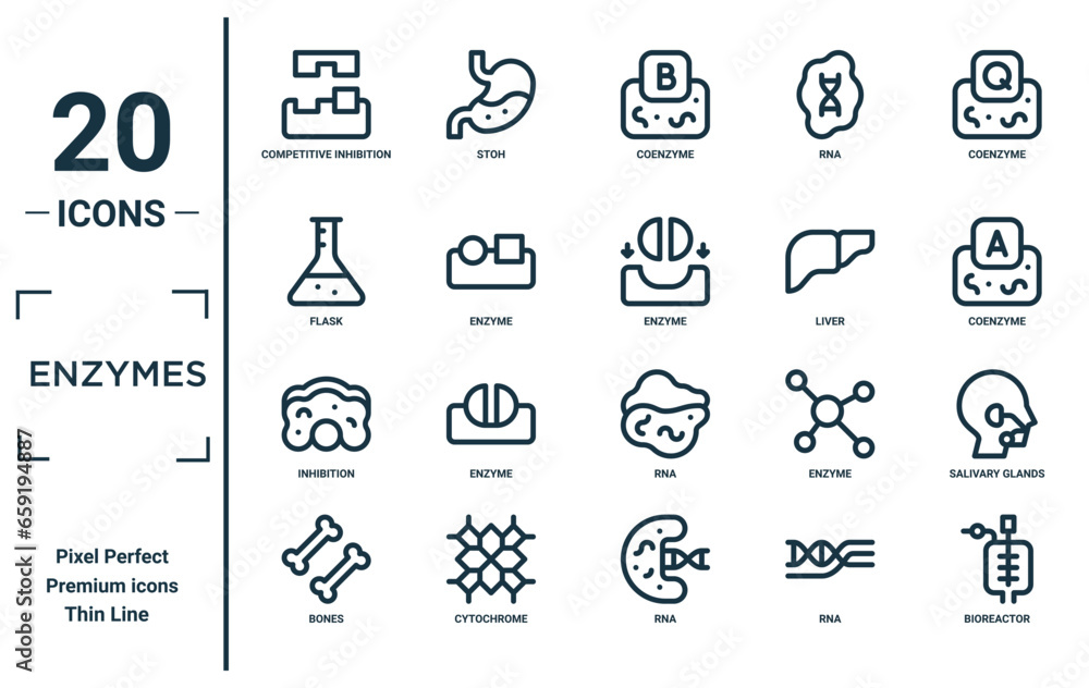 enzymes linear icon set. includes thin line competitive inhibition ...