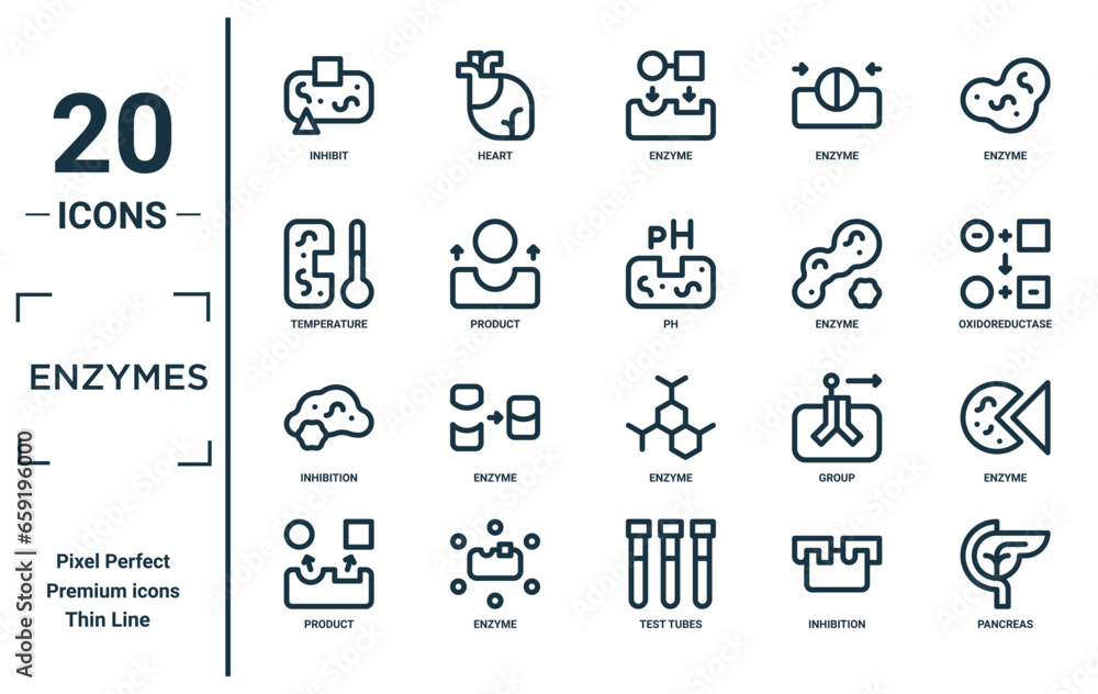 enzymes linear icon set. includes thin line inhibit, temperature ...