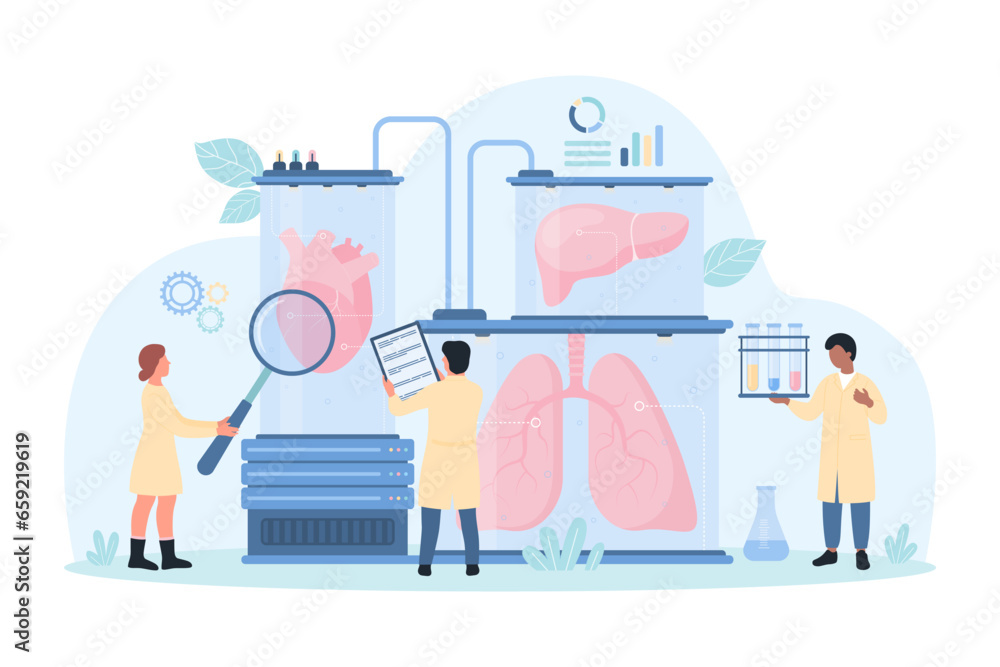 Bioartificial human organ for transplantation vector illustration ...