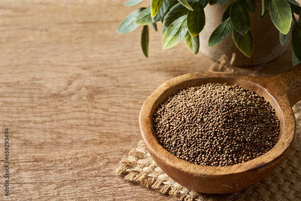 perilla frutescens deulkkae seed on wood table rustic background ...