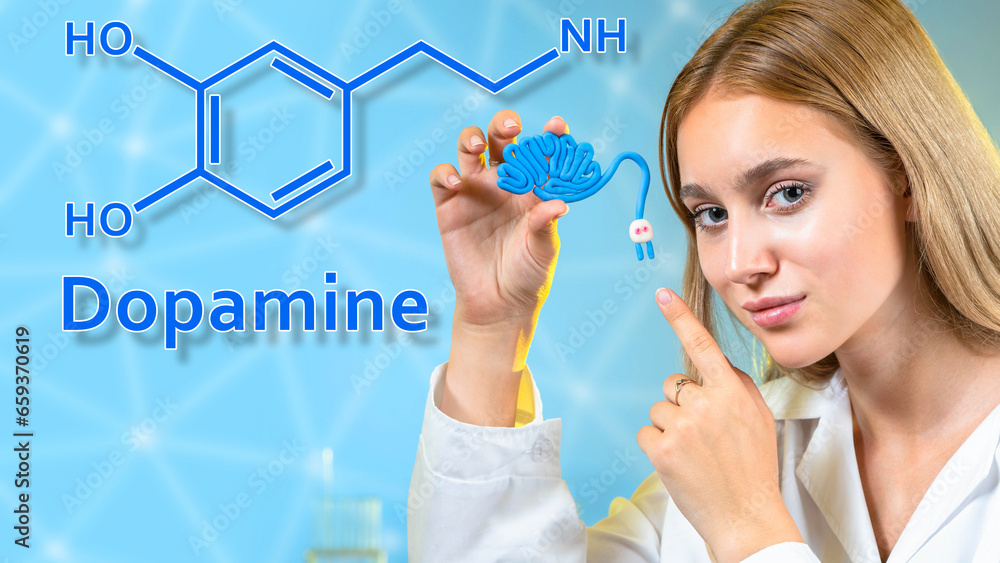 Hormone dopamine. Woman studies human brain. Girl doctor. Study of ...