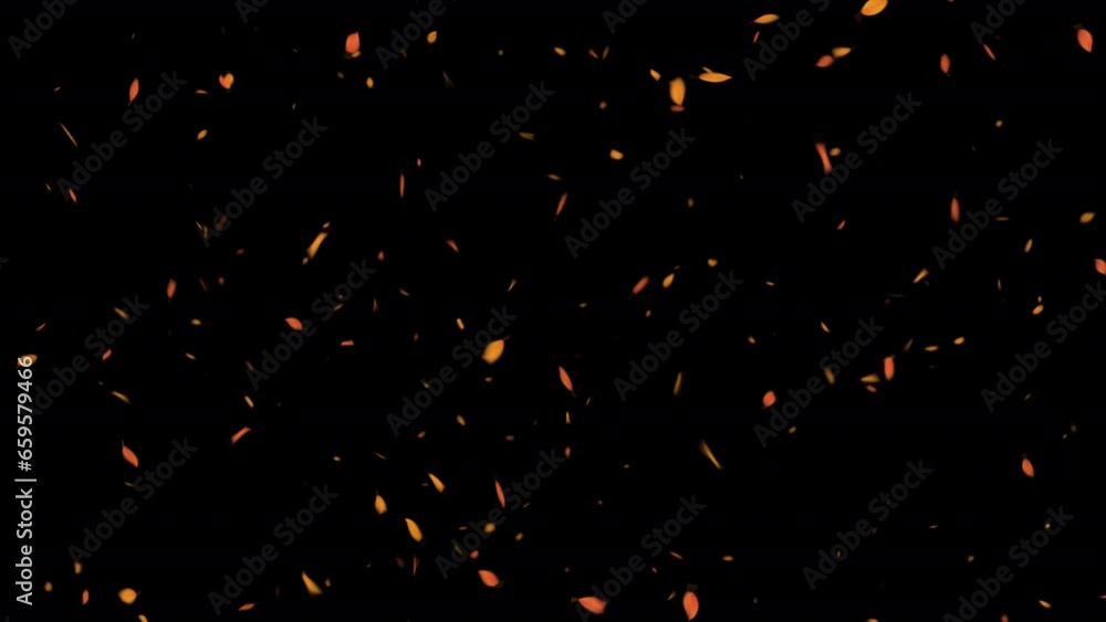 Autumn Leaves. Autumn Leaf Particles. With Alpha Channel Prores 4444 ...