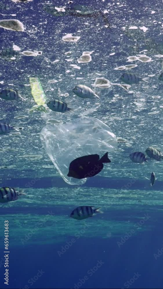 Vertical video, School of fish feeds on surface of polluted water in ...
