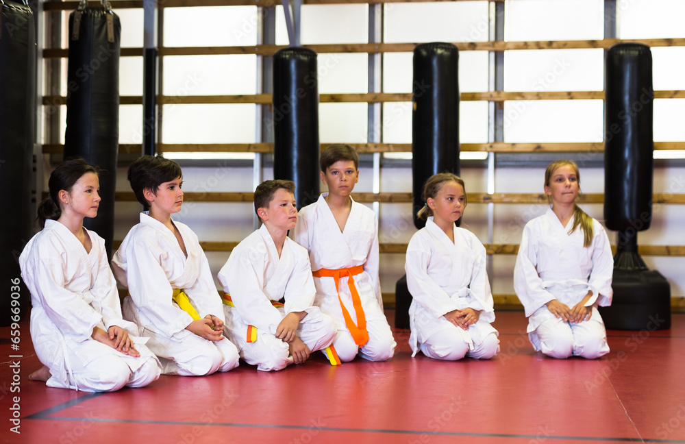 Portrait of focused preteen kids posing before training at karate class ...