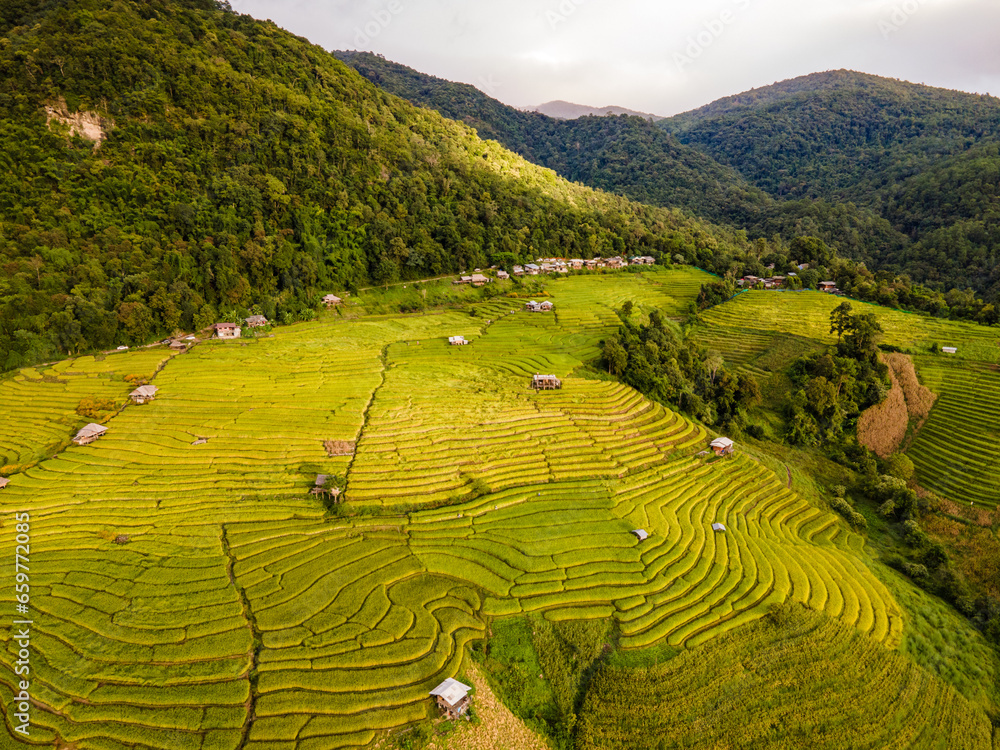 Aerial shot from drone. Green rice planting season and mysterious ...