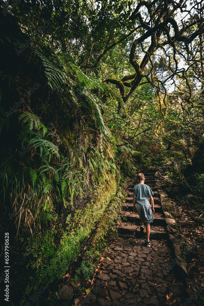 Scenic view of a little boy climbing the stone steps of a hiking trail ...