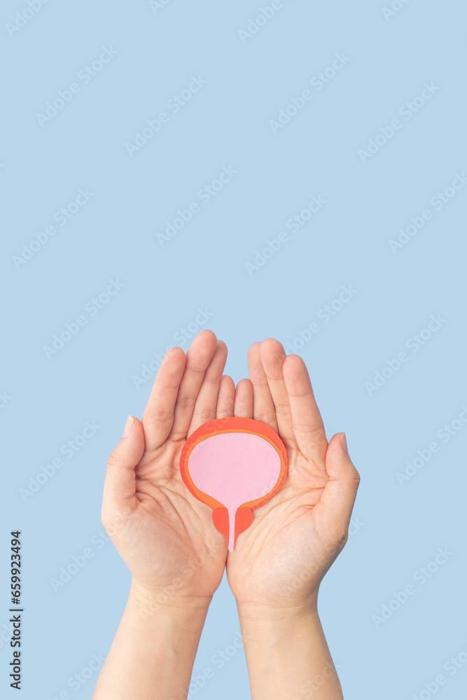 Hand holding bladder and prostate gland made from paper on blue ...