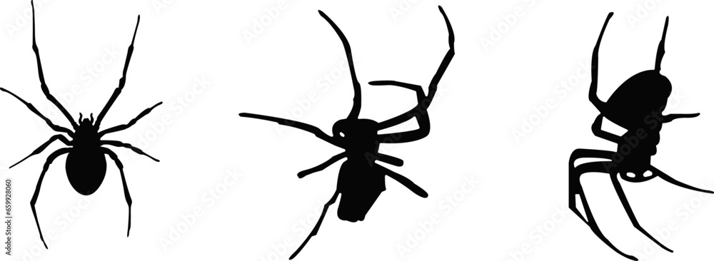 set of spider silhouettes. vector spiders isolated on transparent ...