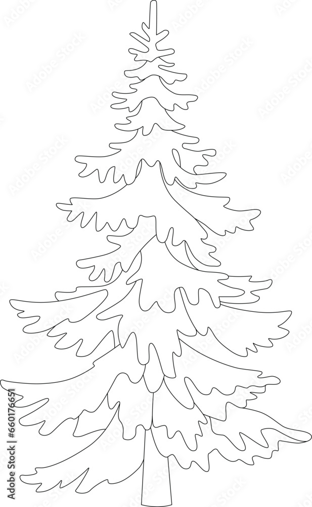 Spruce, coniferous evergreen tree - vector linear picture for coloring ...