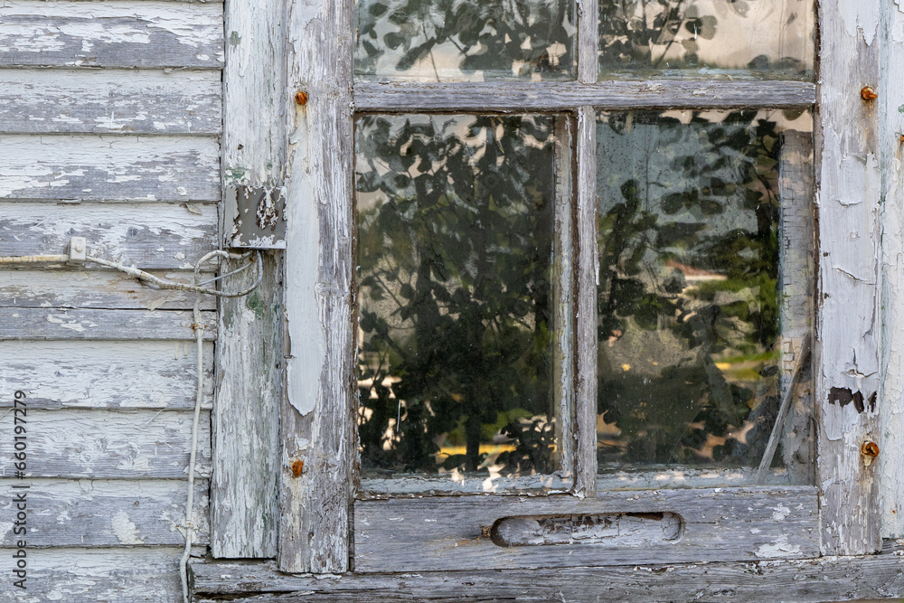 A vintage decrepit glass window with trees reflecting in the panes. The ...