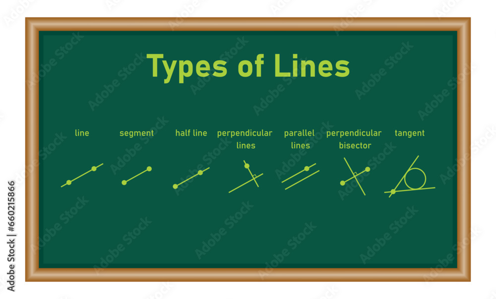 Types of lines. Line,segment, half line, perpendicular lines, parallel ...