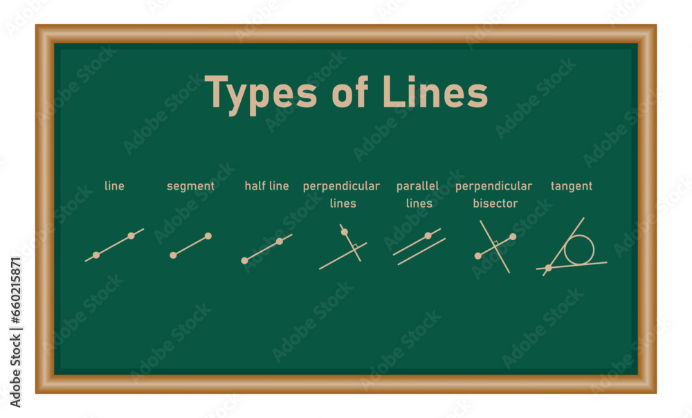 Types of lines. Line,segment, half line, perpendicular lines, parallel ...