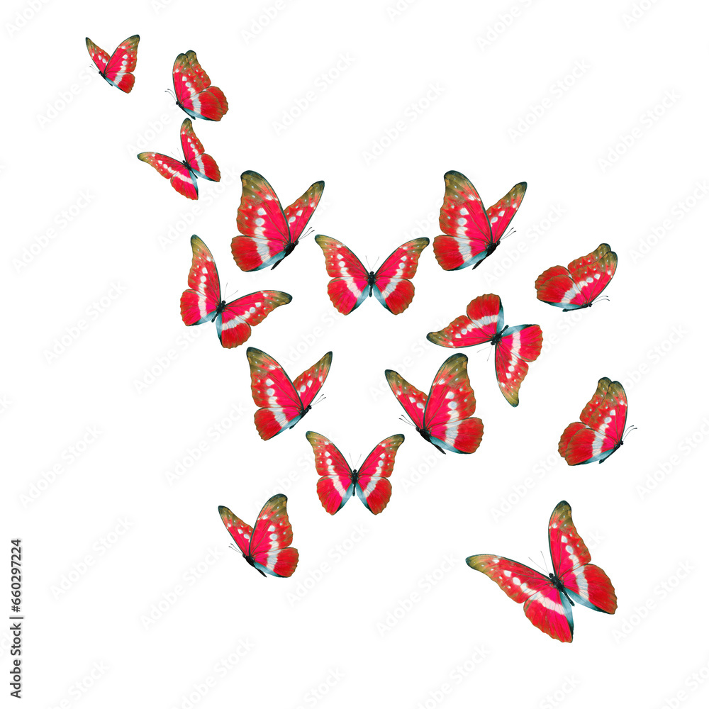 Beautiful red morpho butterfly isolated on white background. PNG File ...