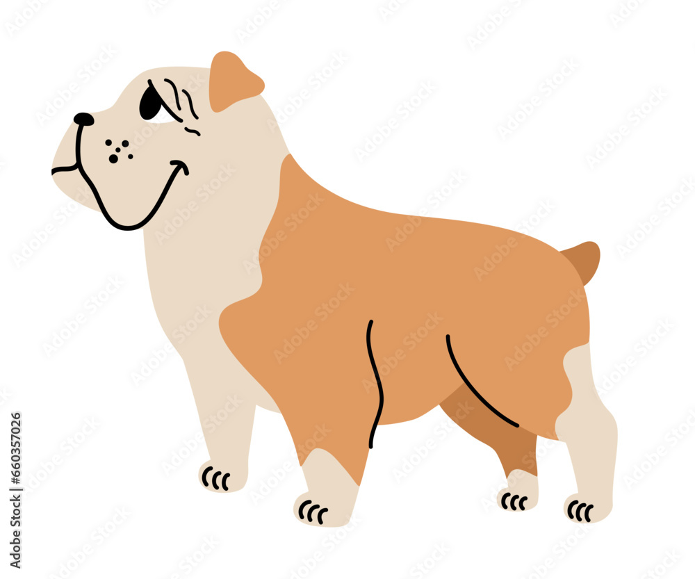 English bulldog. Pets, animals, canine theme design element in ...