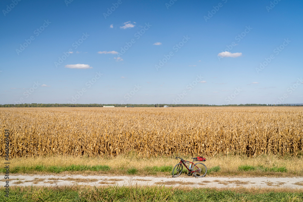corn field ready for harvest along Steamboat Trace Trail converted from ...