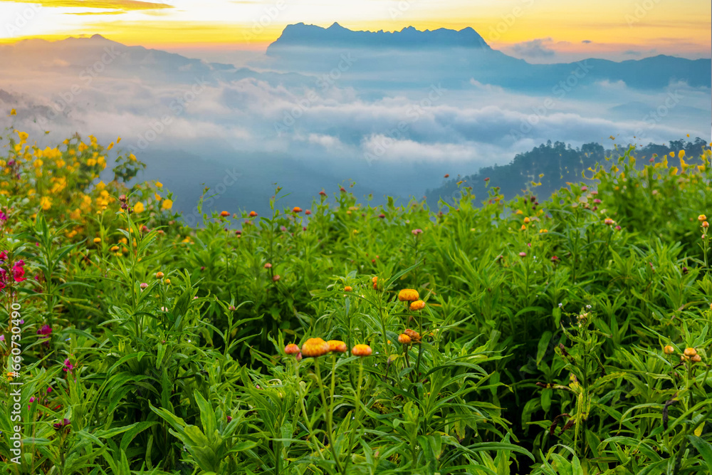 Hadubi Camping Viewpoint, view of Doi Luang Chiang Dao mountain in the ...