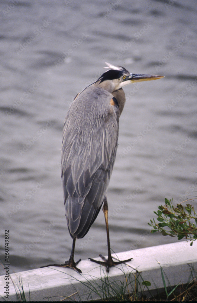 NAS Pensacola contains Forrest Sherman Field, home of Training Air Wing ...