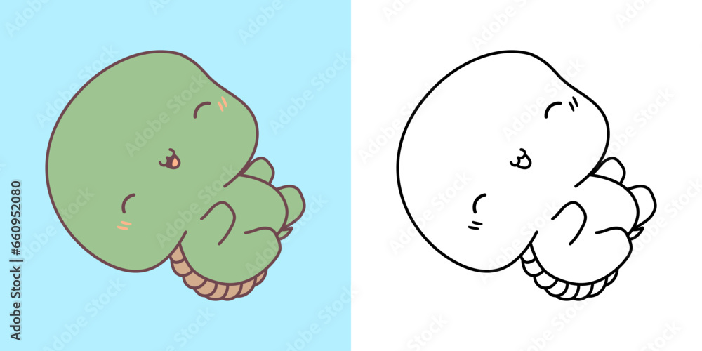 Cute IsolatedTurtle Illustration and For Coloring Page. Cartoon Clip ...