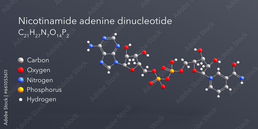 nicotinamide adenine dinucleotide molecule 3d rendering, flat molecular structure with chemical ...
