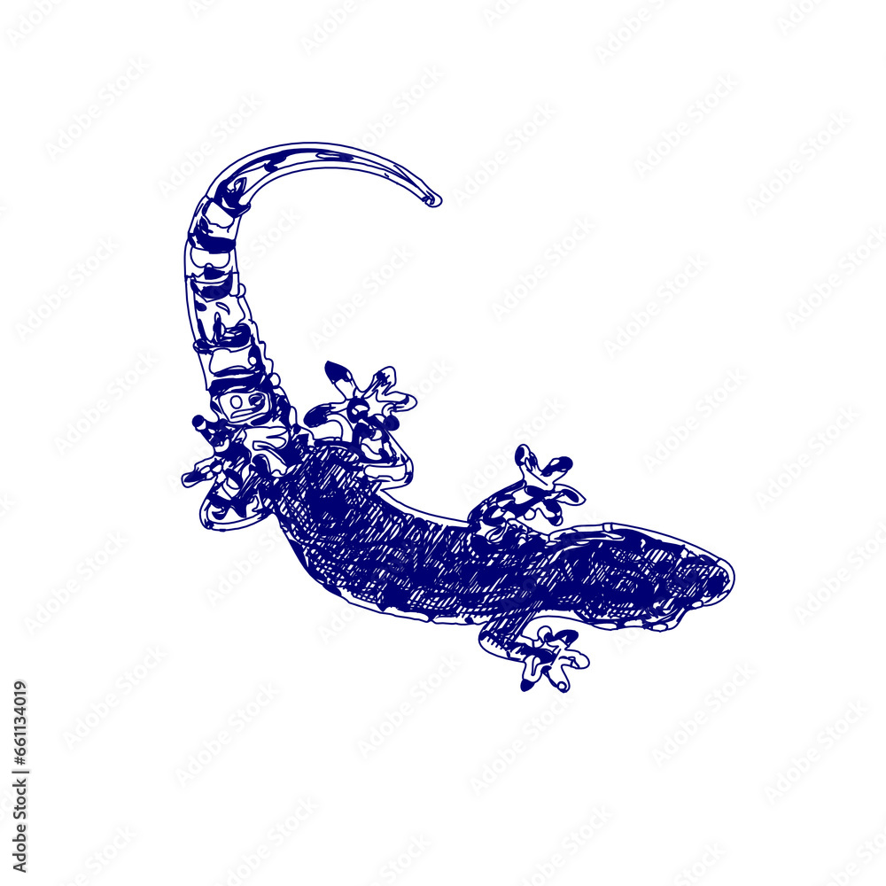 sketch of a lizard for elements in making logos and symbols Stock ...