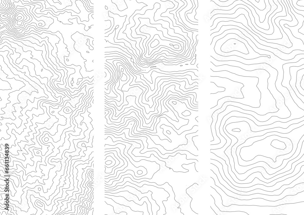 Curvas de nivel en diferentes escalas Stock Illustration | Adobe Stock