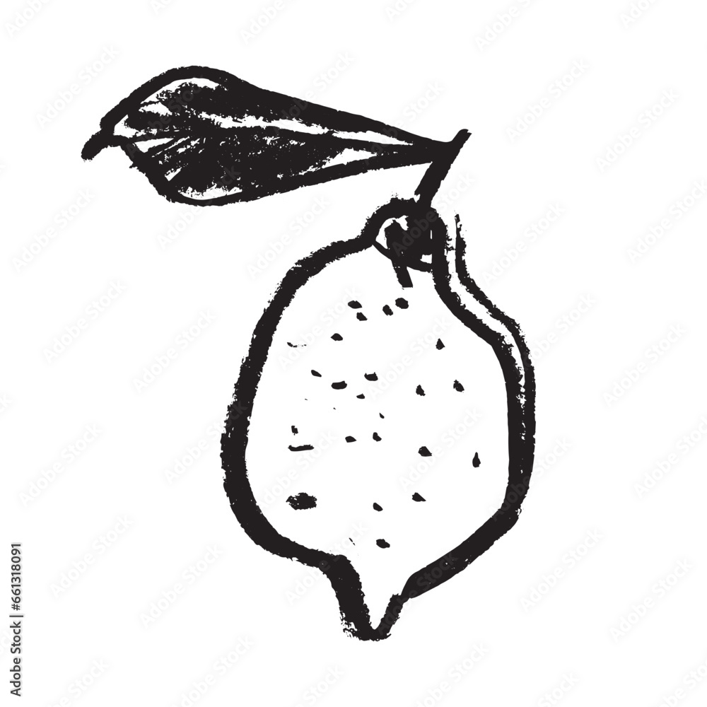 Vector lemon symbol. Citrus fruit icon in trendy hand drawn doodle ...