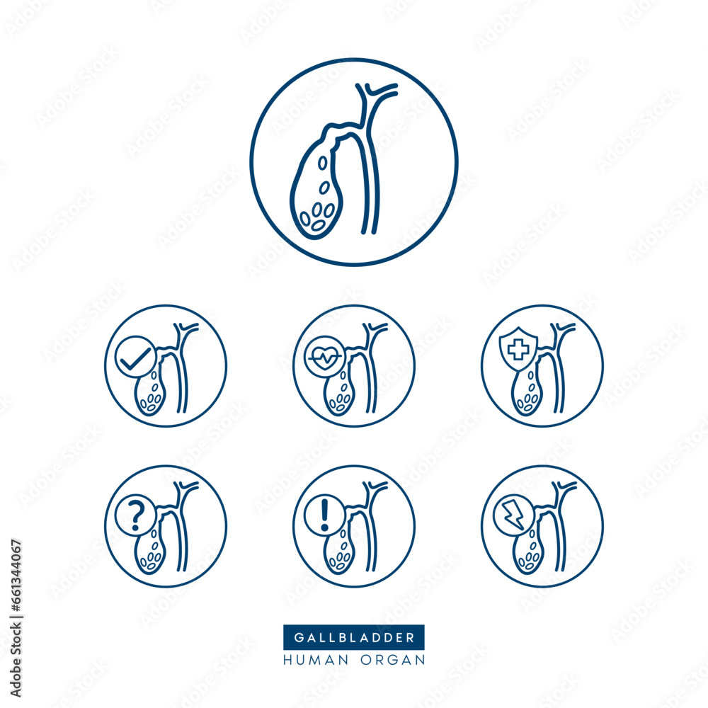 Gallbladder icon simple flat outline style for health care ads or website. Icons isolated on ...